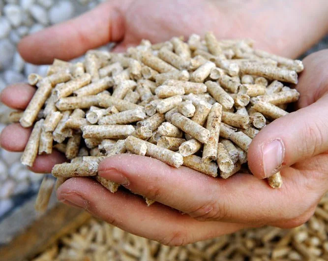 Brandstoffen — Koen Verheyen