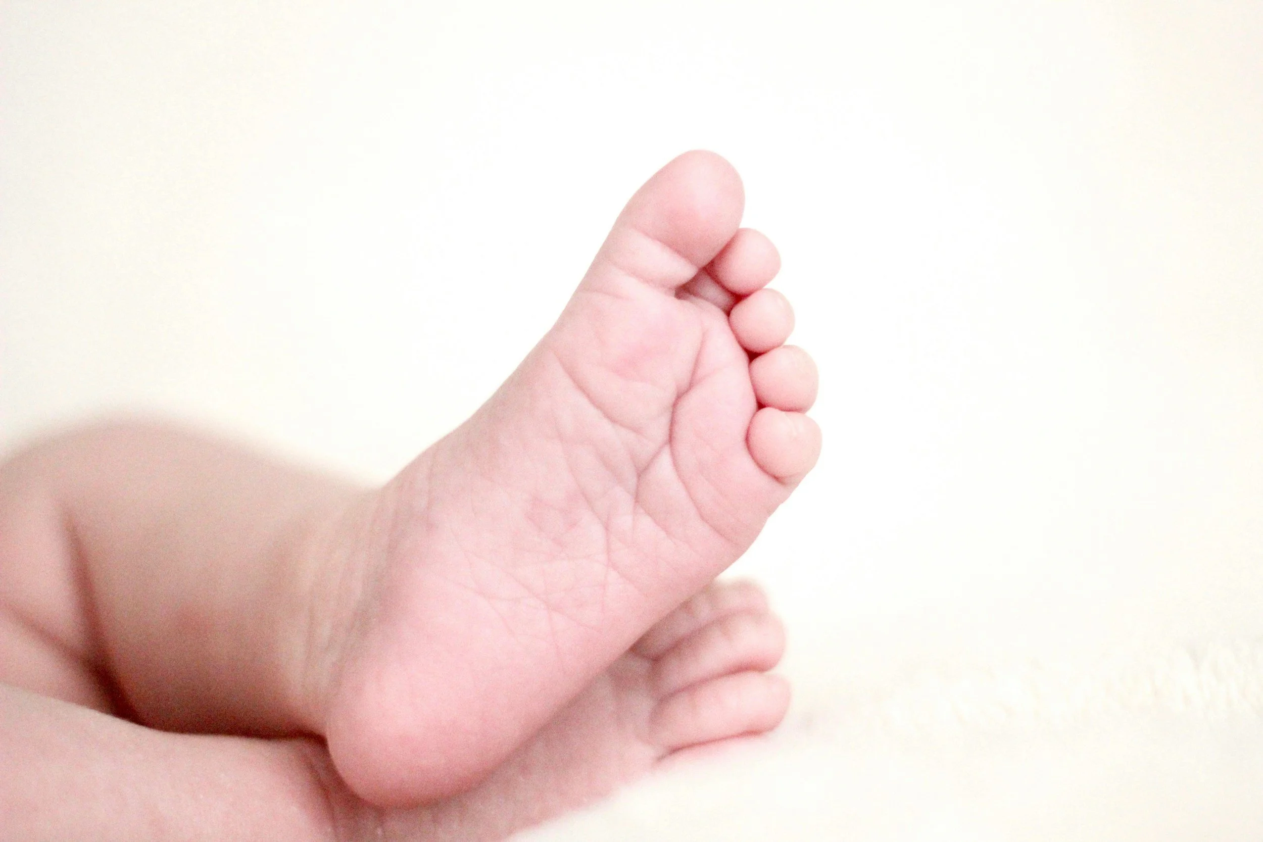 Foot Zone Therapy: Everything You Need to Know — Denver Holistic Health ...