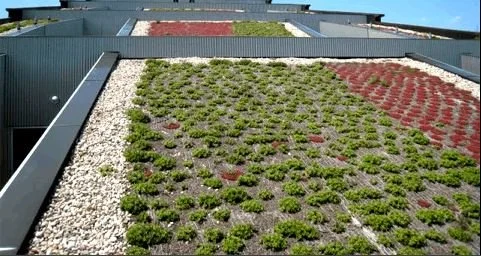 Products & Service — Service Roofing Company