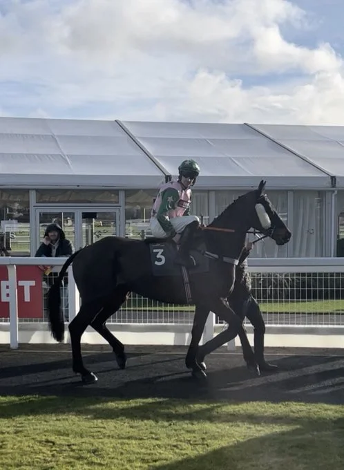 OUR HORSES — Katie Scott Racing