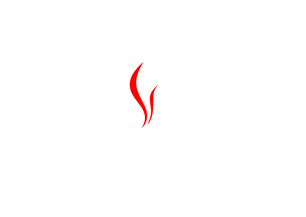 Wok Ever Palace