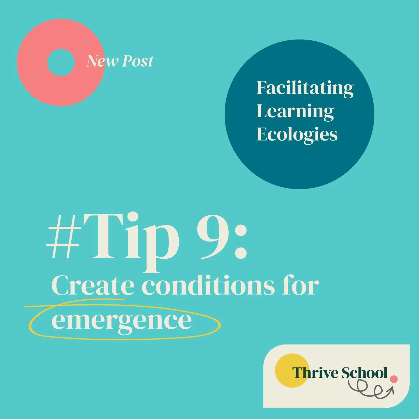 Integrate a Whole Body Approach to Learning — Thrive School