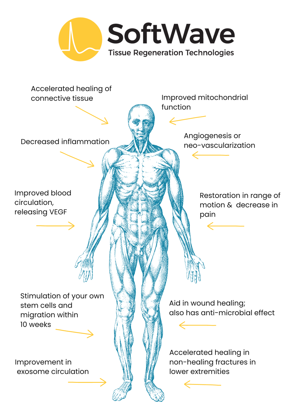 Tissue Regenerative Therapy in Vancouver WA | In Light Hyperbarics — In ...