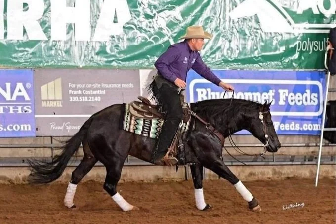 Stallion Auction — RMBA