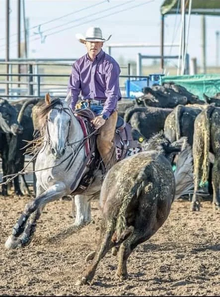 Stallion - Cat Thunder — RMBA