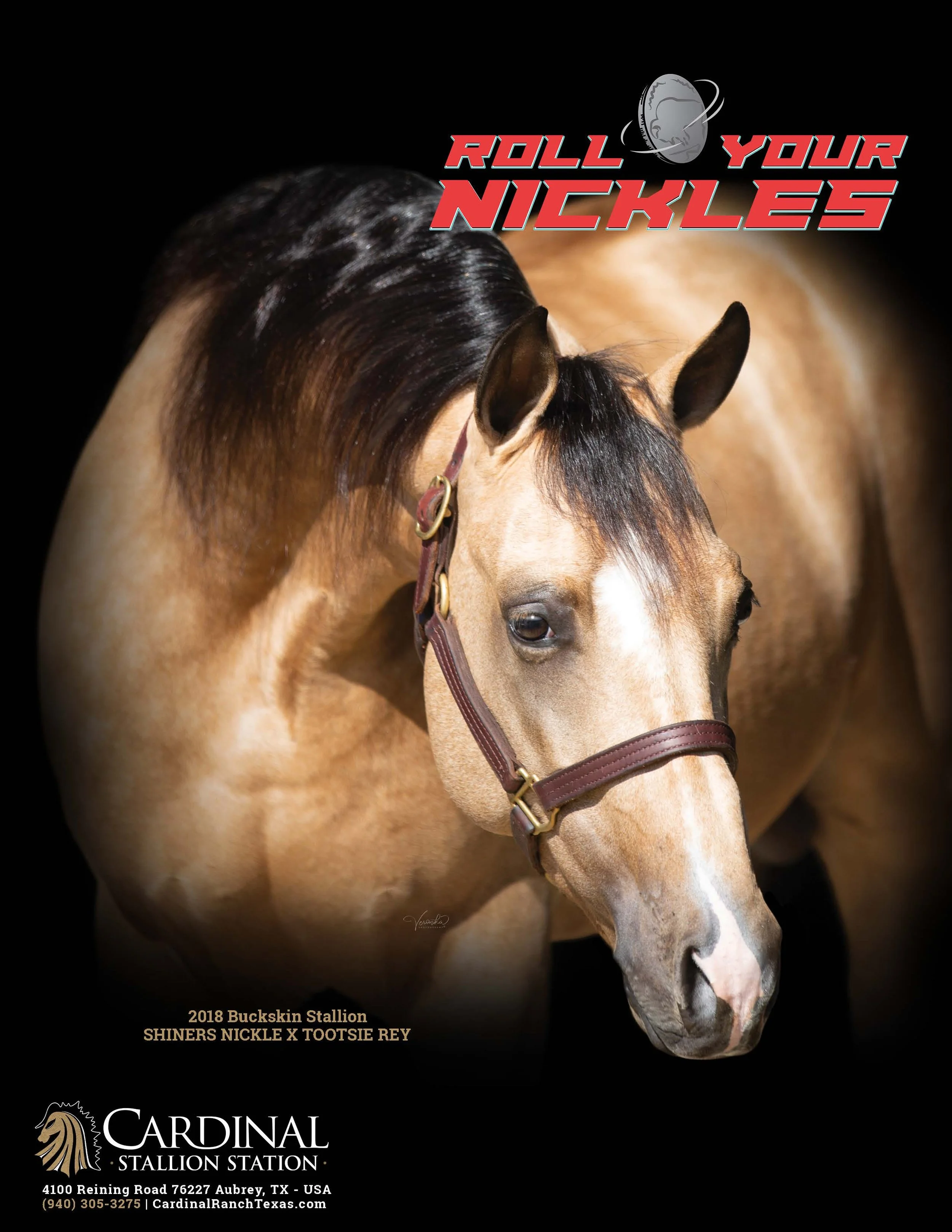 Stallion - Roll Your Nickles — RMBA
