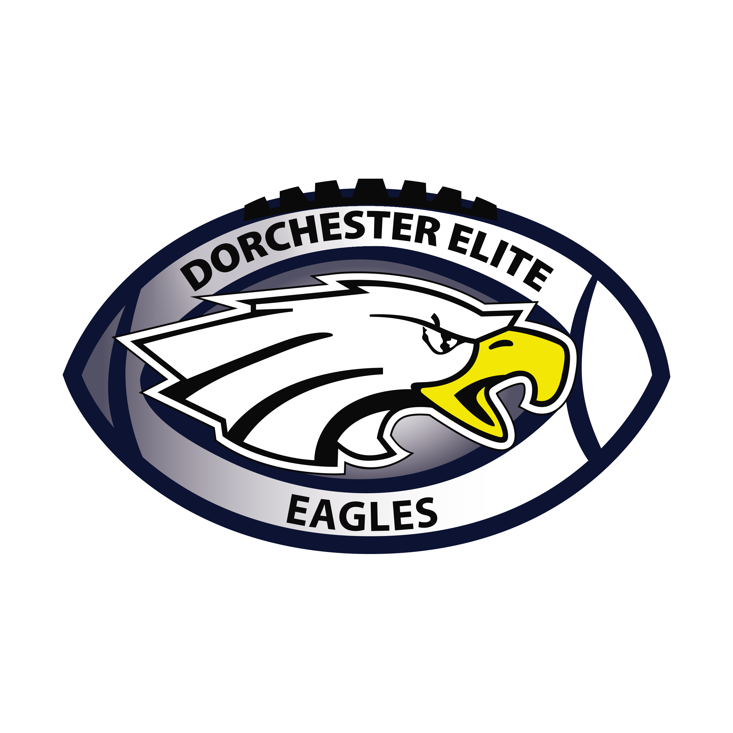 Eagle Football Team Logo