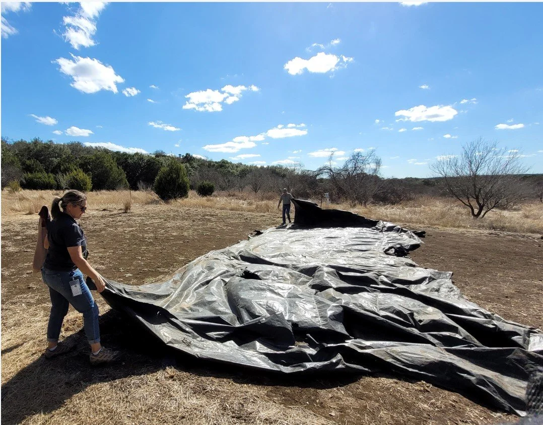 Appreciating Native Grasslands — Beautiful Hays County