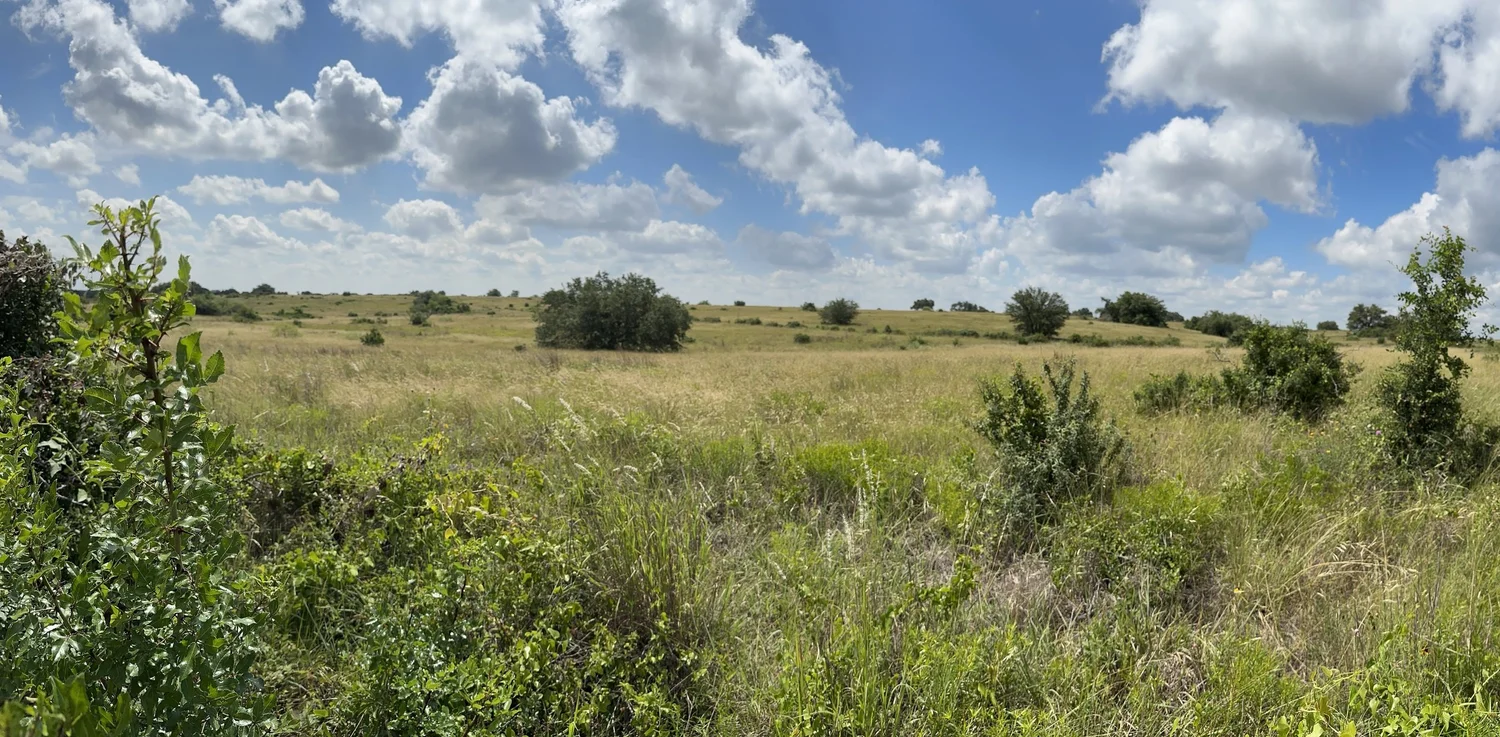 Hays Humm — Beautiful Hays County