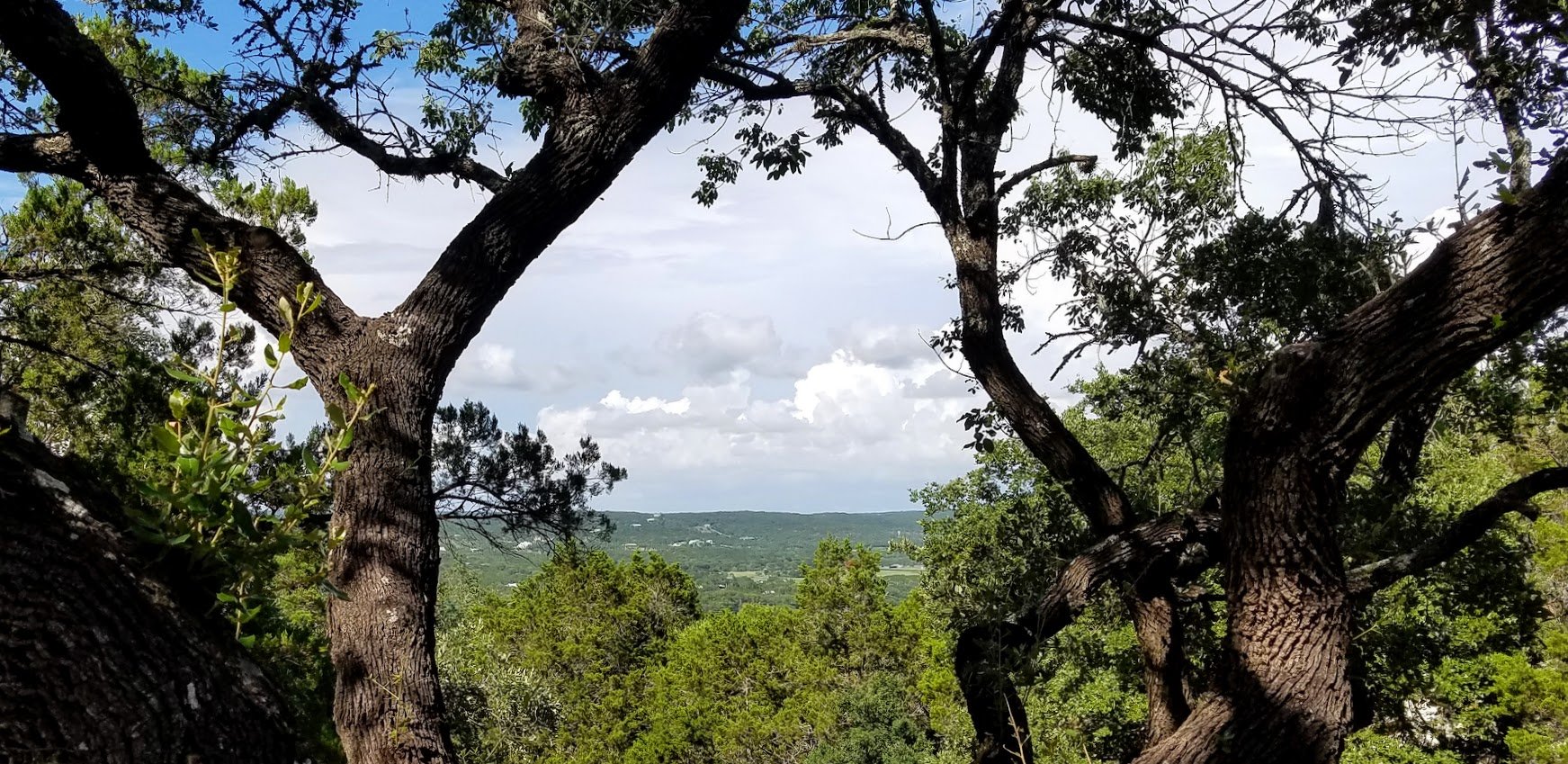 Hays Humm — Beautiful Hays County