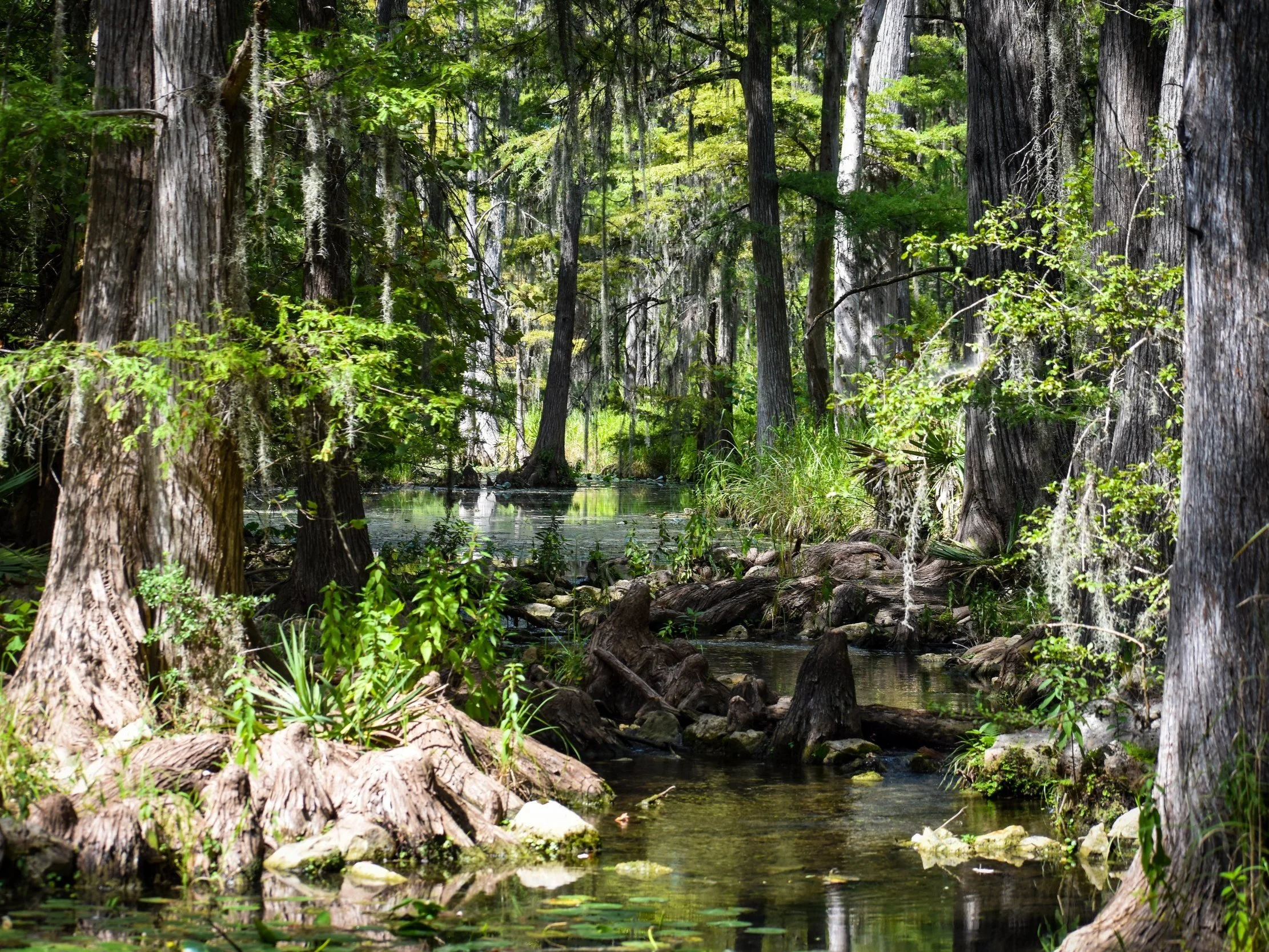 Honey Creek — Beautiful Hays County