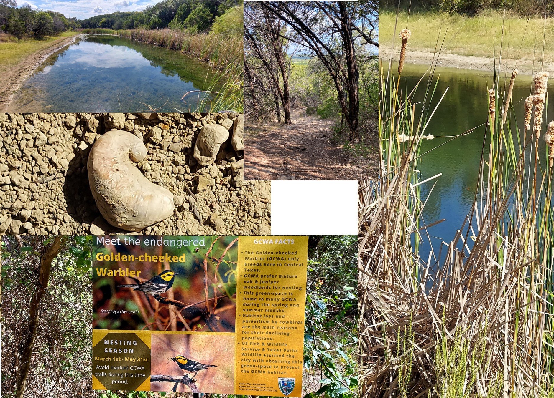 Spring Lake Natural Area — Beautiful Hays County