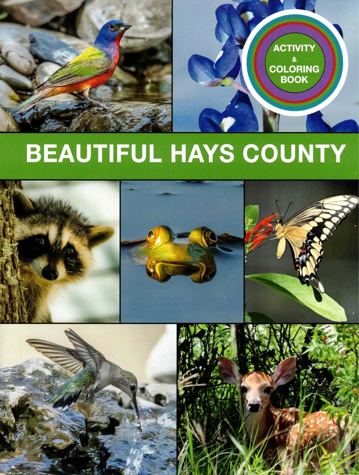 Coloring Book — Beautiful Hays County