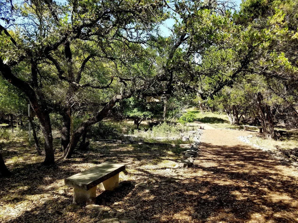 Trees Are More Than Pretty — Beautiful Hays County