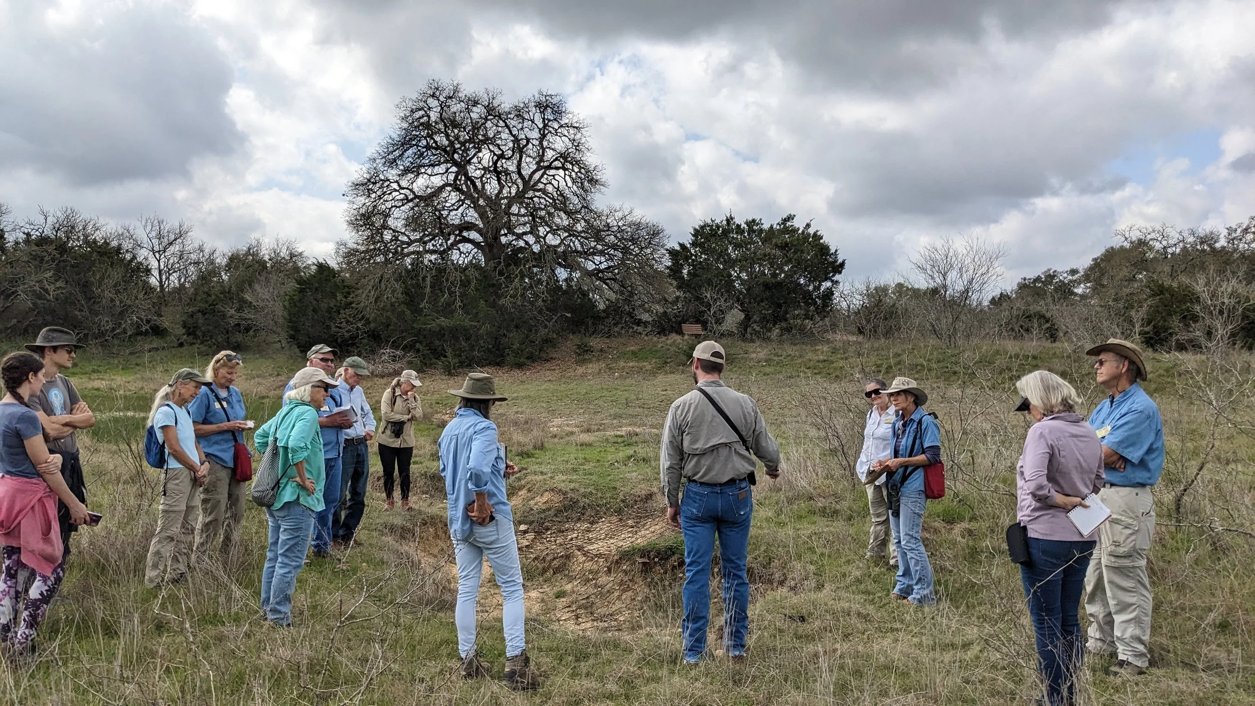 Appreciating Native Grasslands — Beautiful Hays County