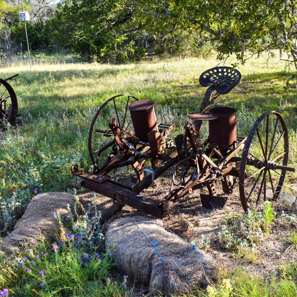 Honey Creek — Beautiful Hays County