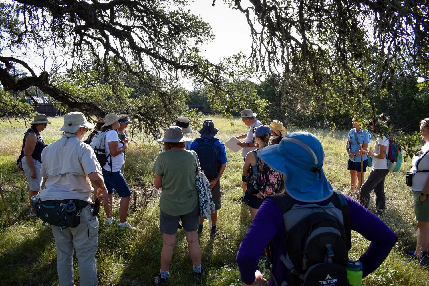 Honey Creek — Beautiful Hays County