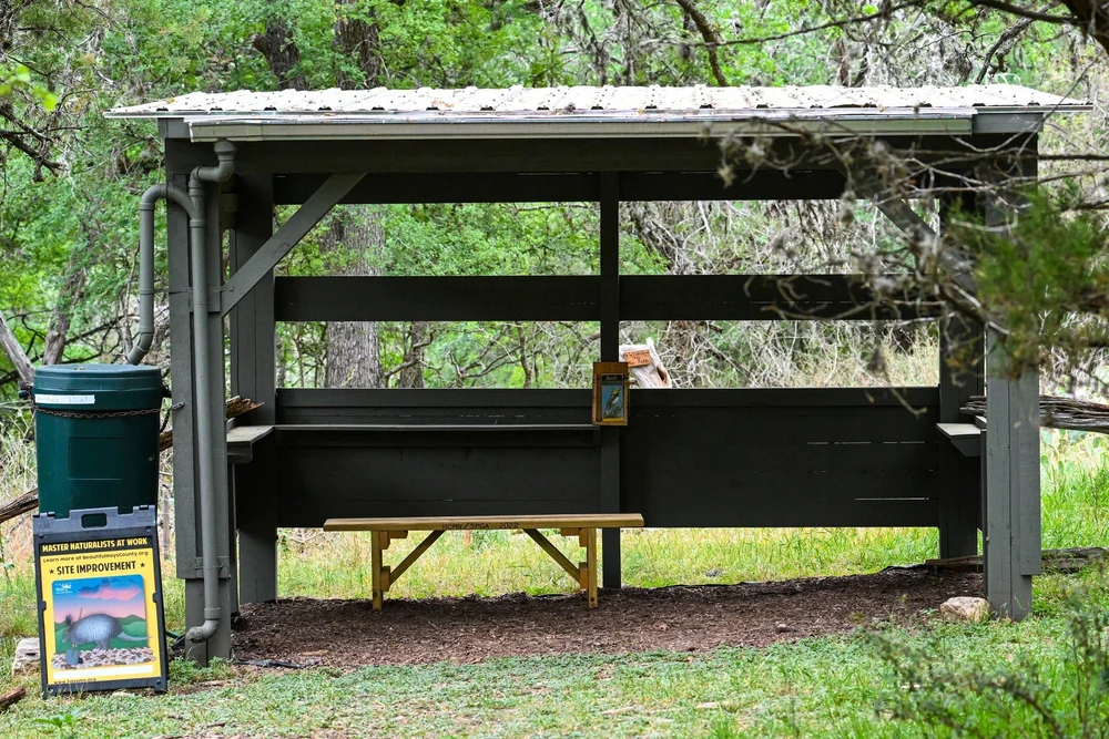 Bird Cities Work! — Beautiful Hays County