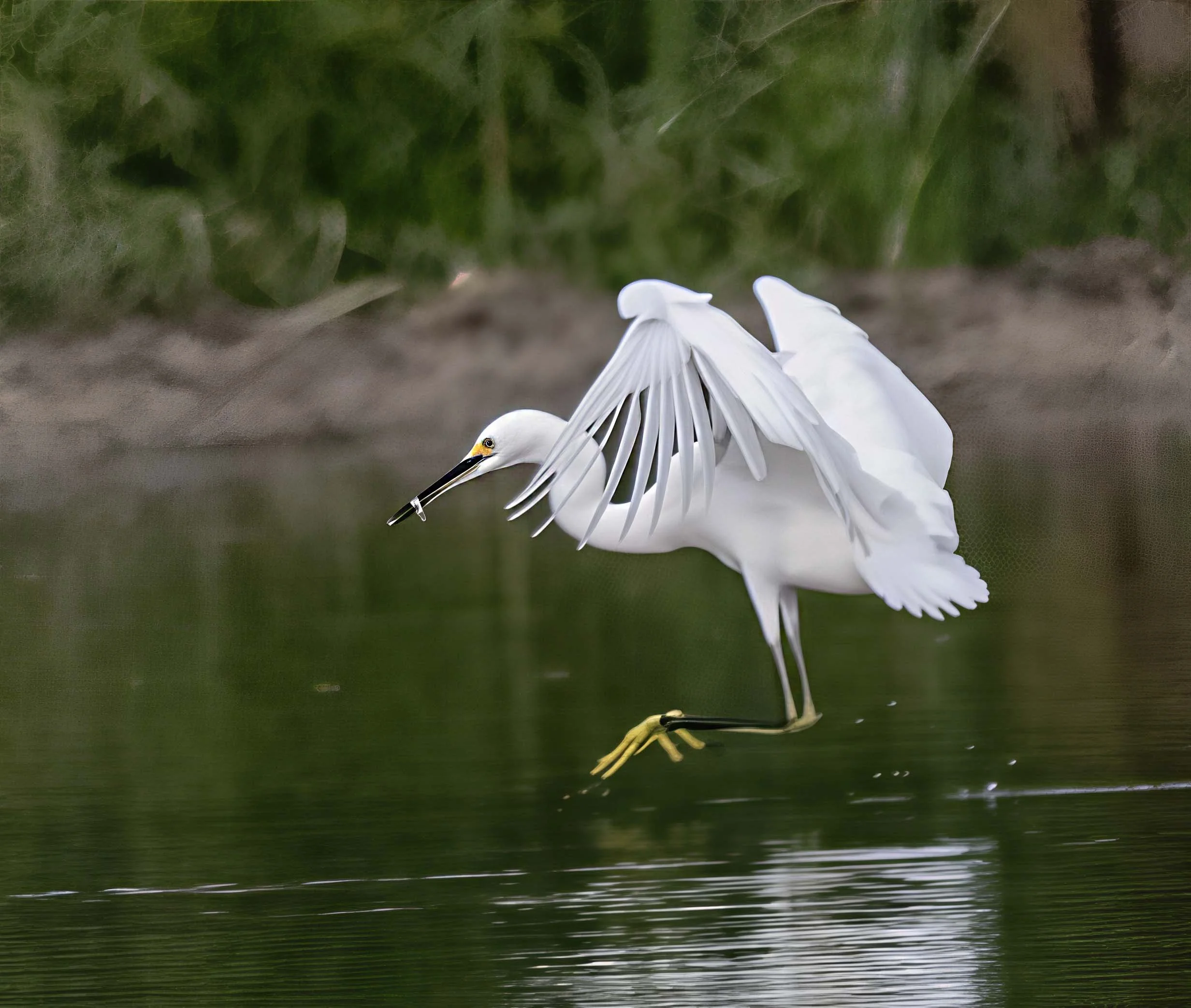 February 2026 — Beautiful Hays County