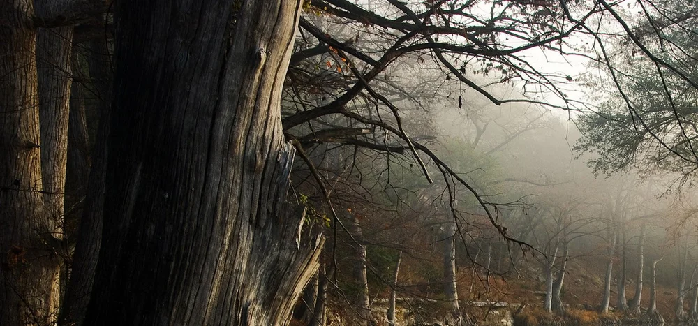 Erosion and Runoff — Beautiful Hays County