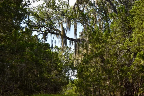 Honey Creek — Beautiful Hays County