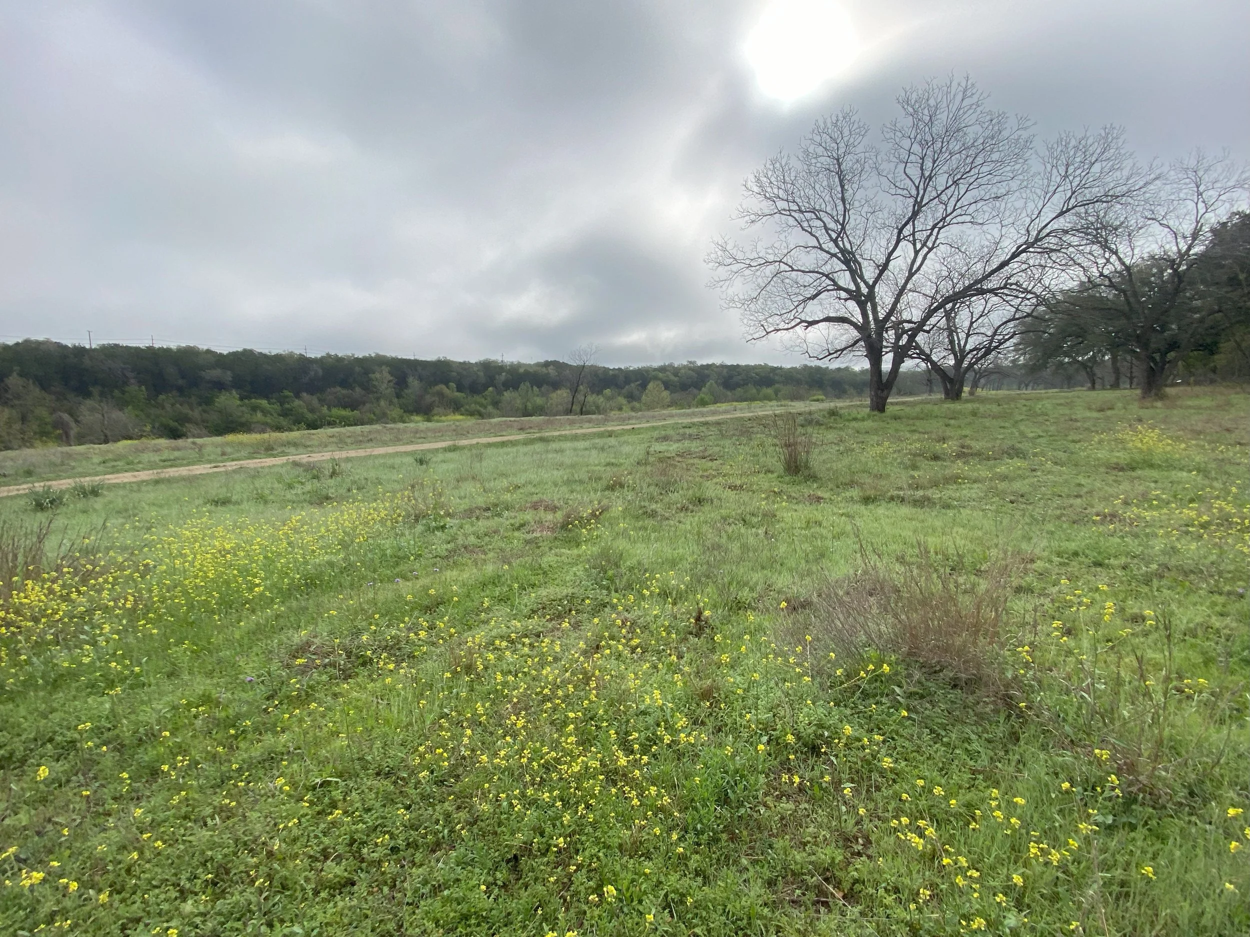 A Peek at the Peak — Beautiful Hays County