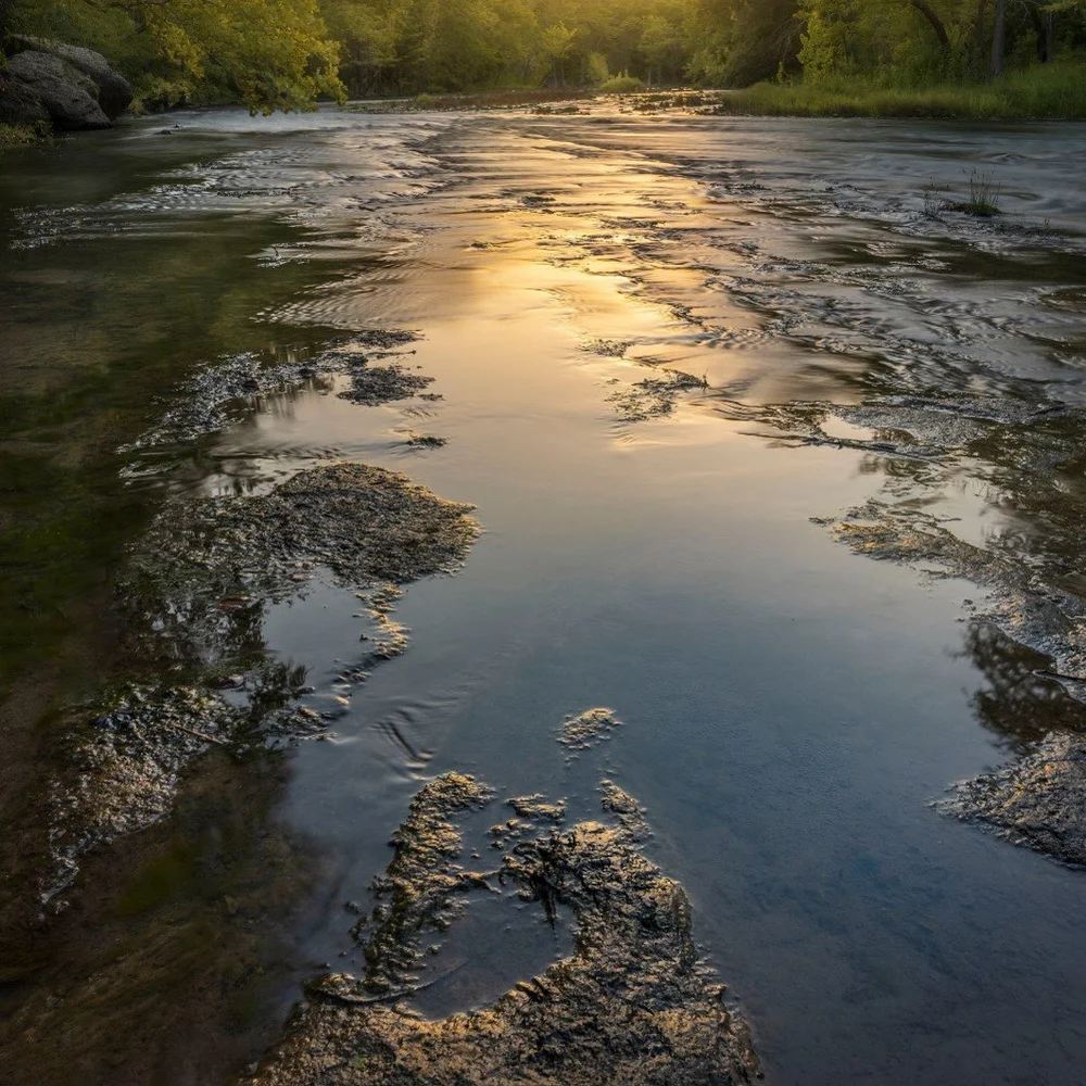 Naturescapes — Beautiful Hays County