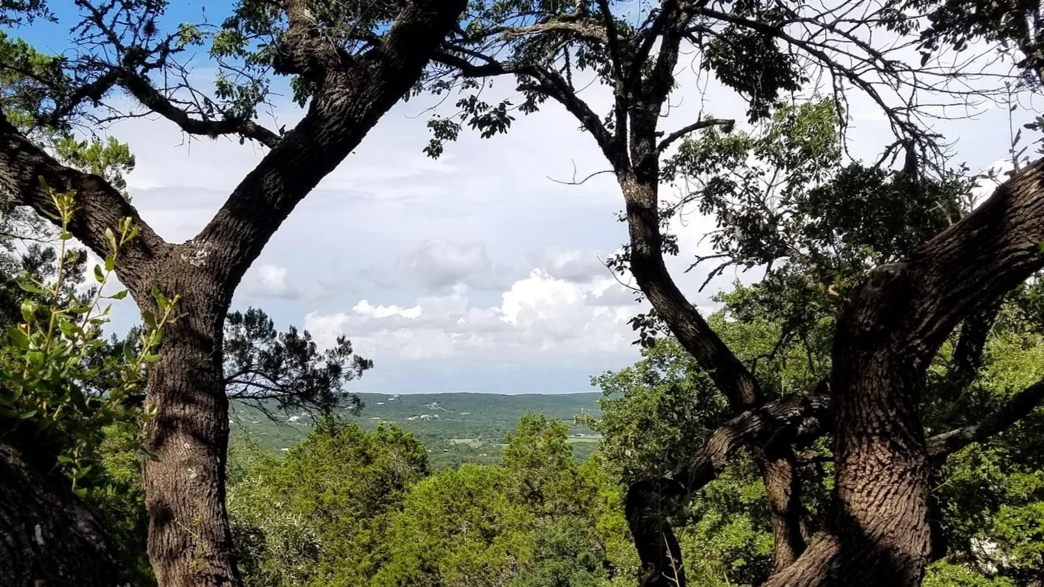 Hays’ Bird Cities — Beautiful Hays County