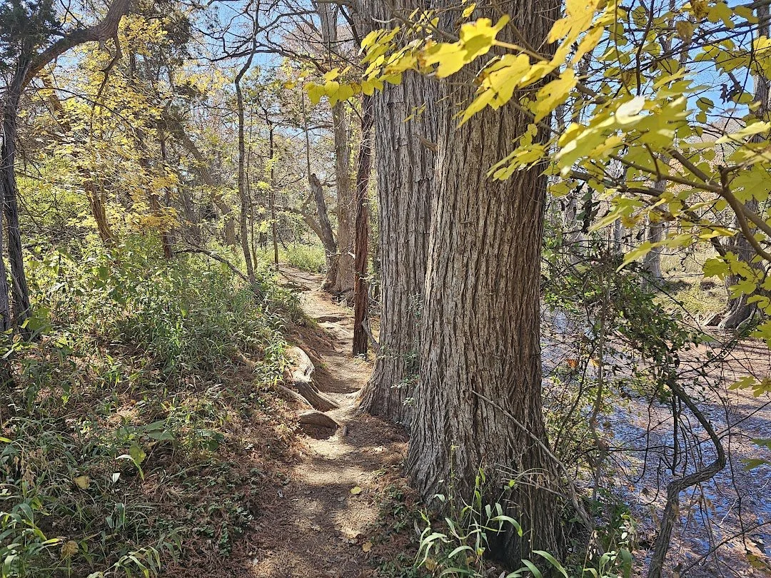 Autumn Trail — Beautiful Hays County