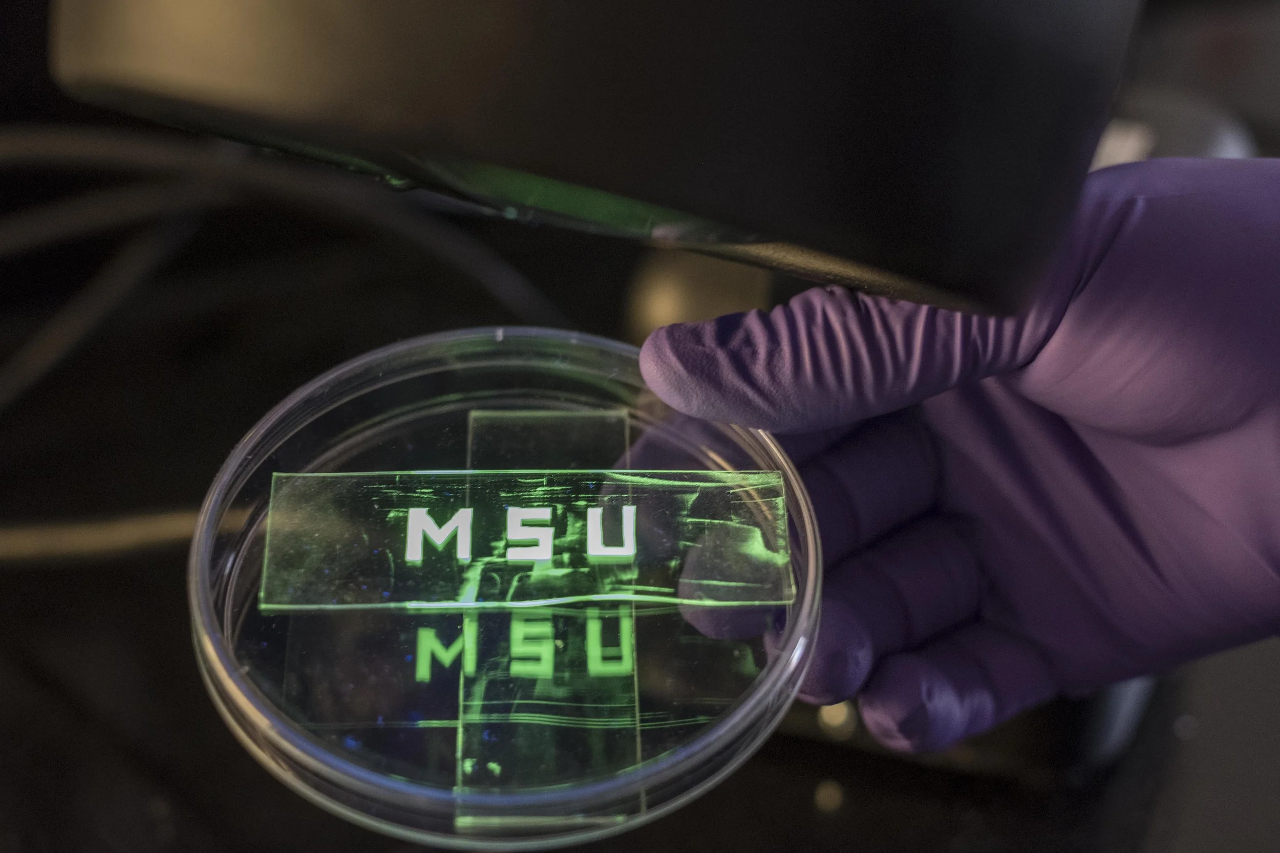 Michigan State University Research Foundation