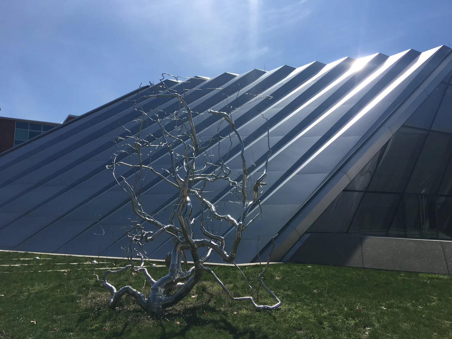 Michigan State University Research Foundation