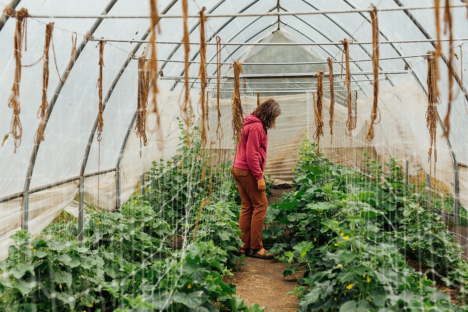 Farm Projects — Frey Family Farm