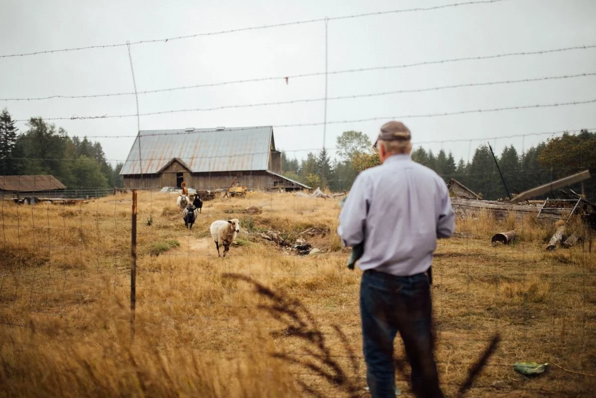 Farm Projects — Frey Family Farm