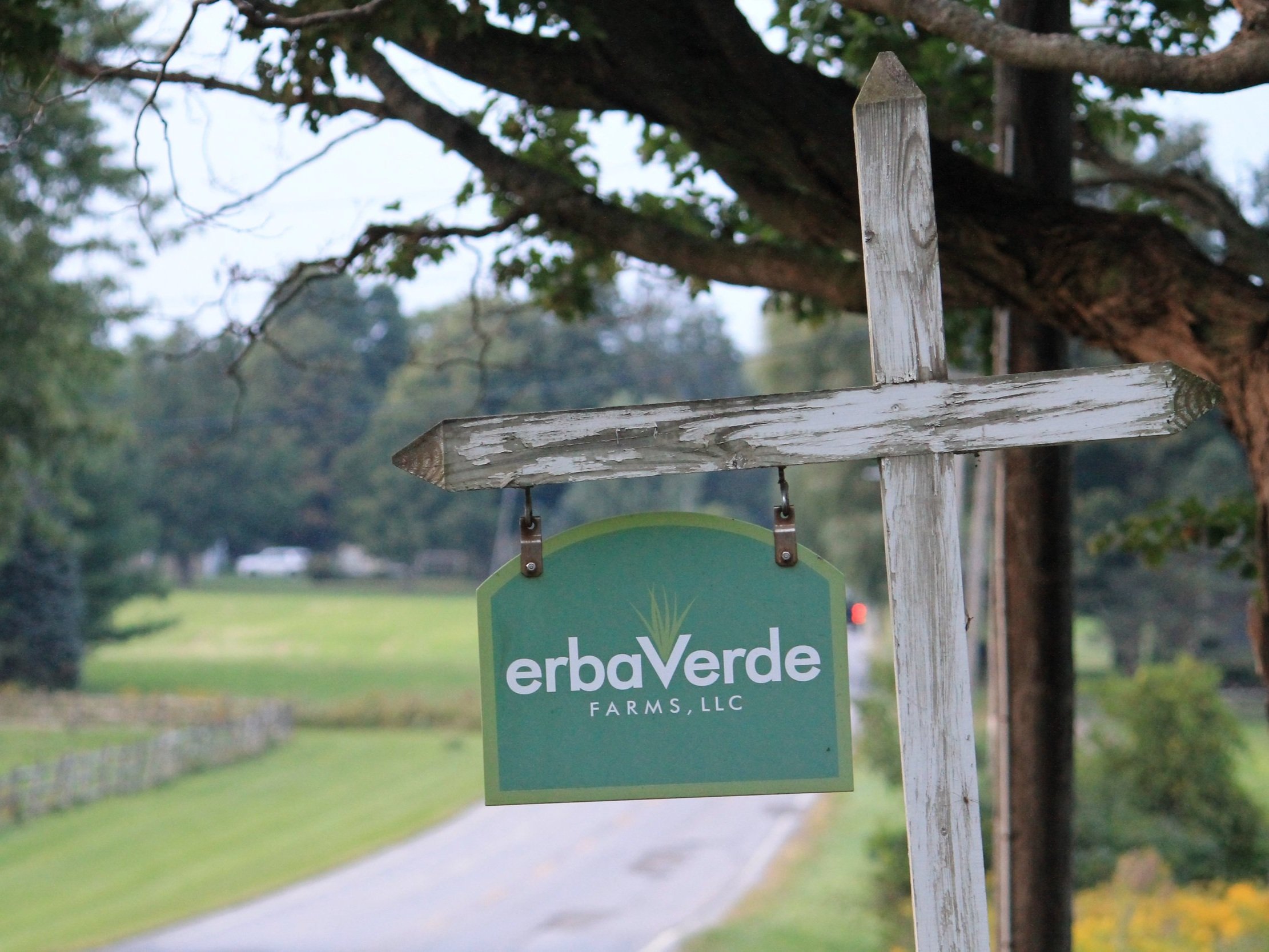Erba Verde Farms | Grass Fed, Pasture Raised Meats