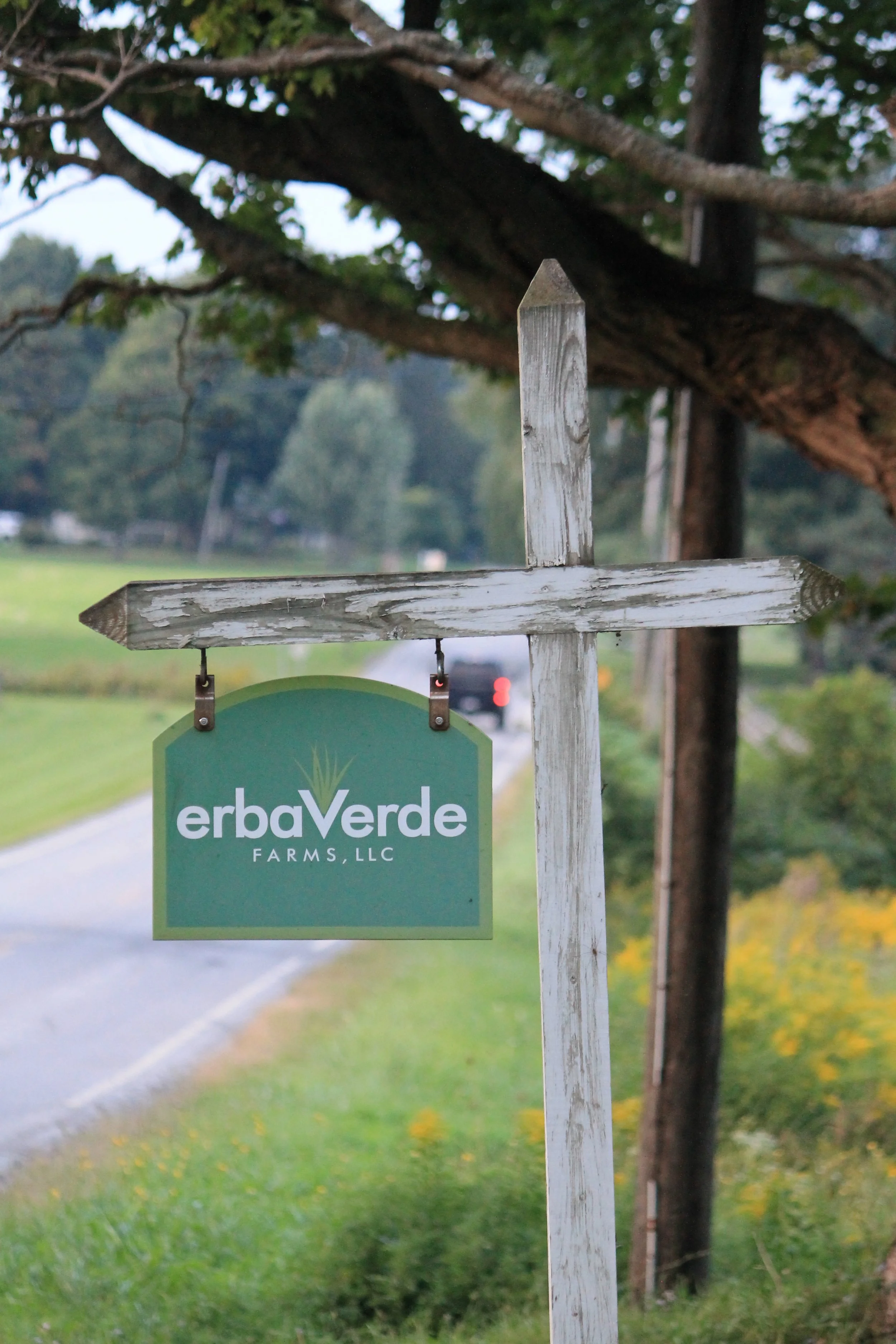 About — Erba Verde Farms