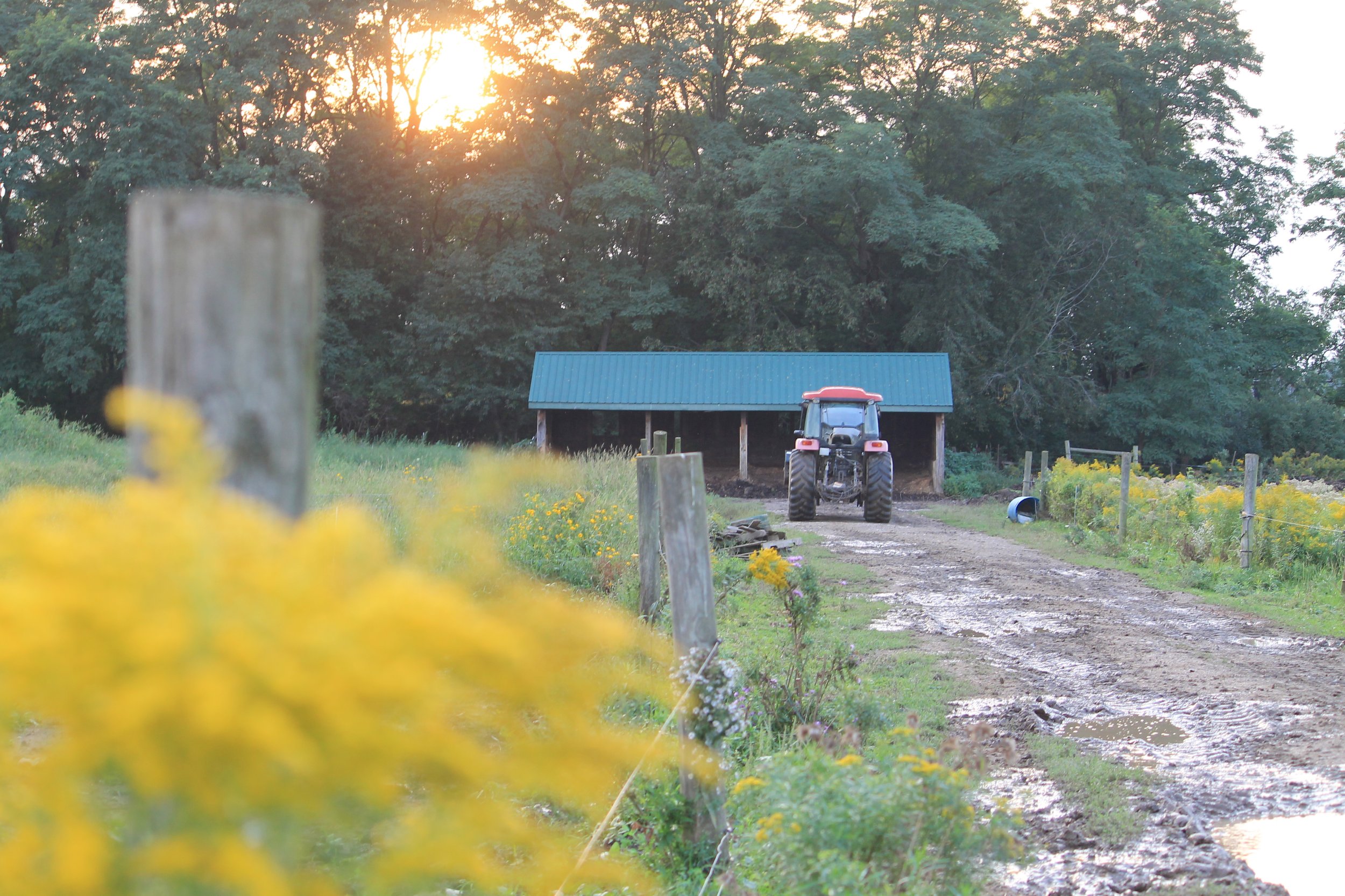 Find Us — Erba Verde Farms