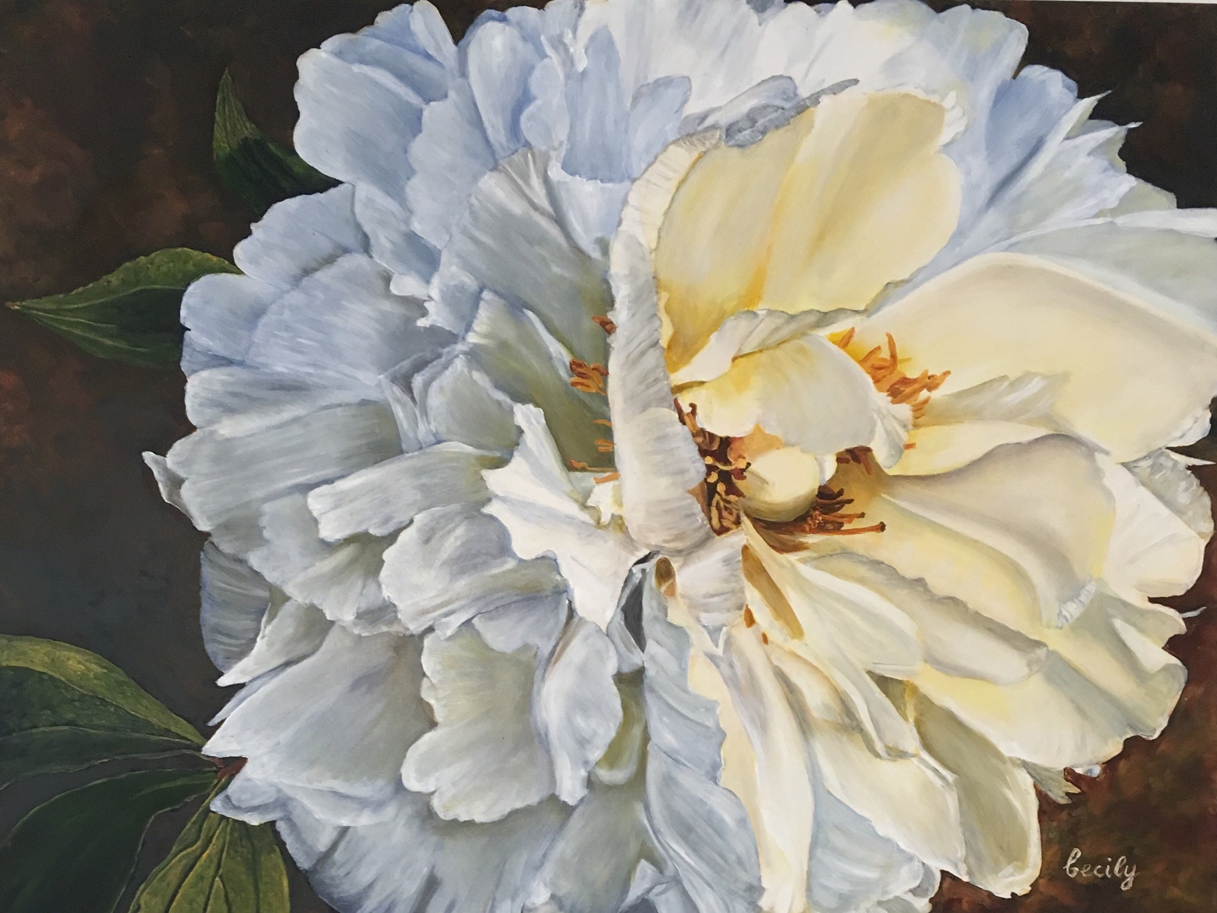 Toowoomba Art Gallery — Feather & Lawry Design