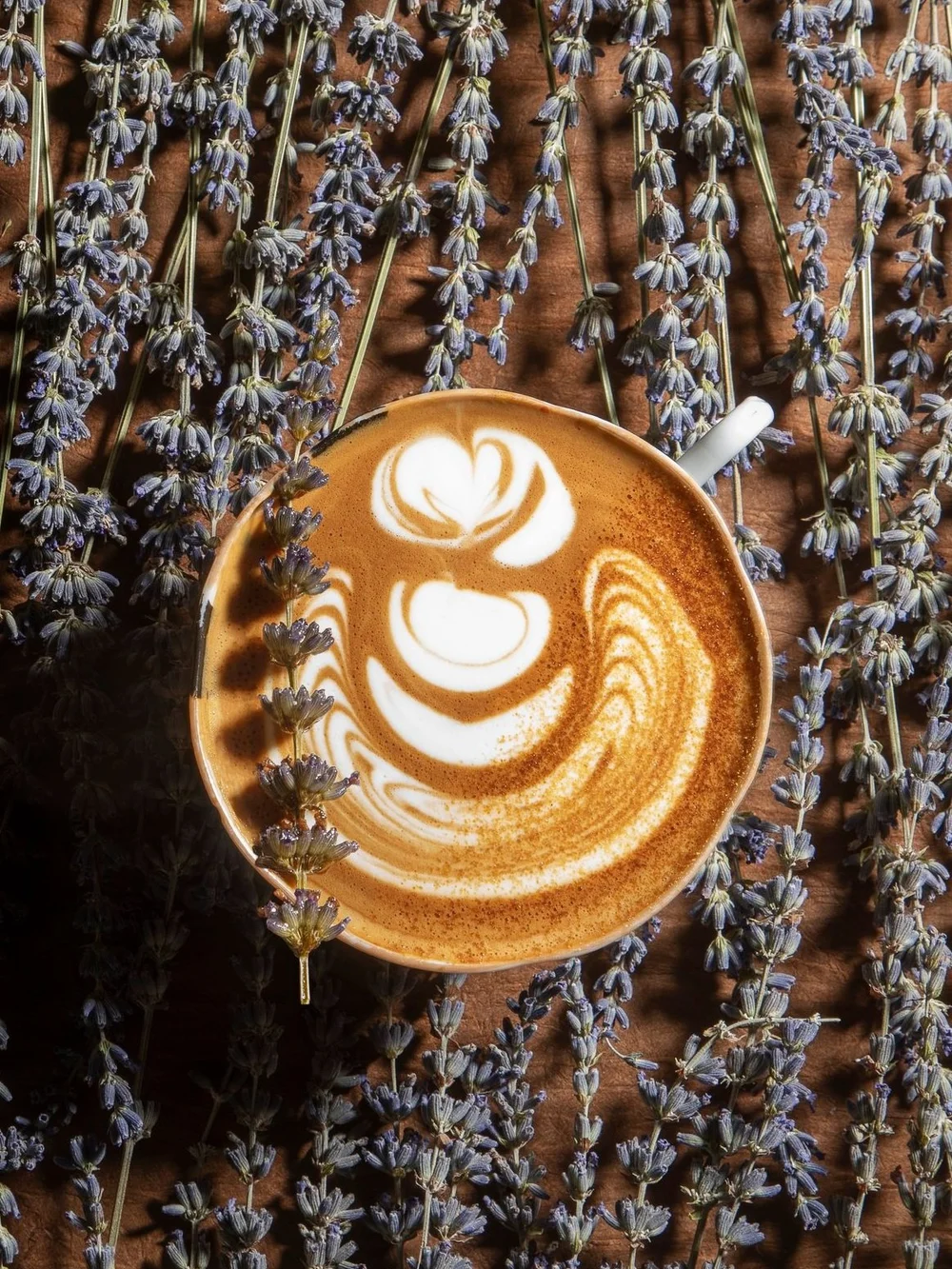 drinks — Discourse Coffee Workshop