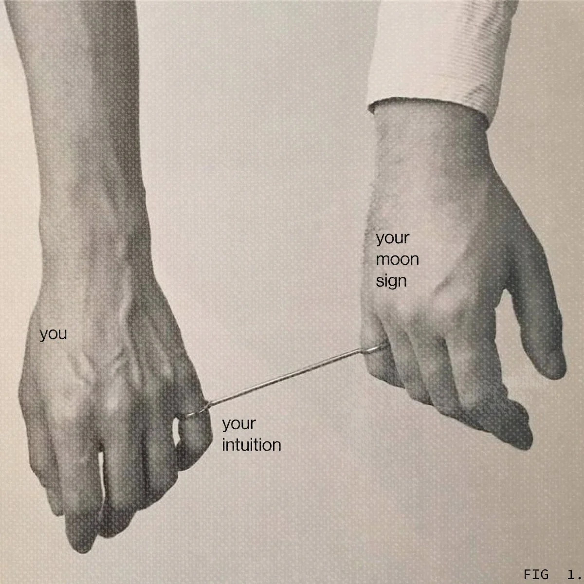 Moon Oracle — Jules Ferrari