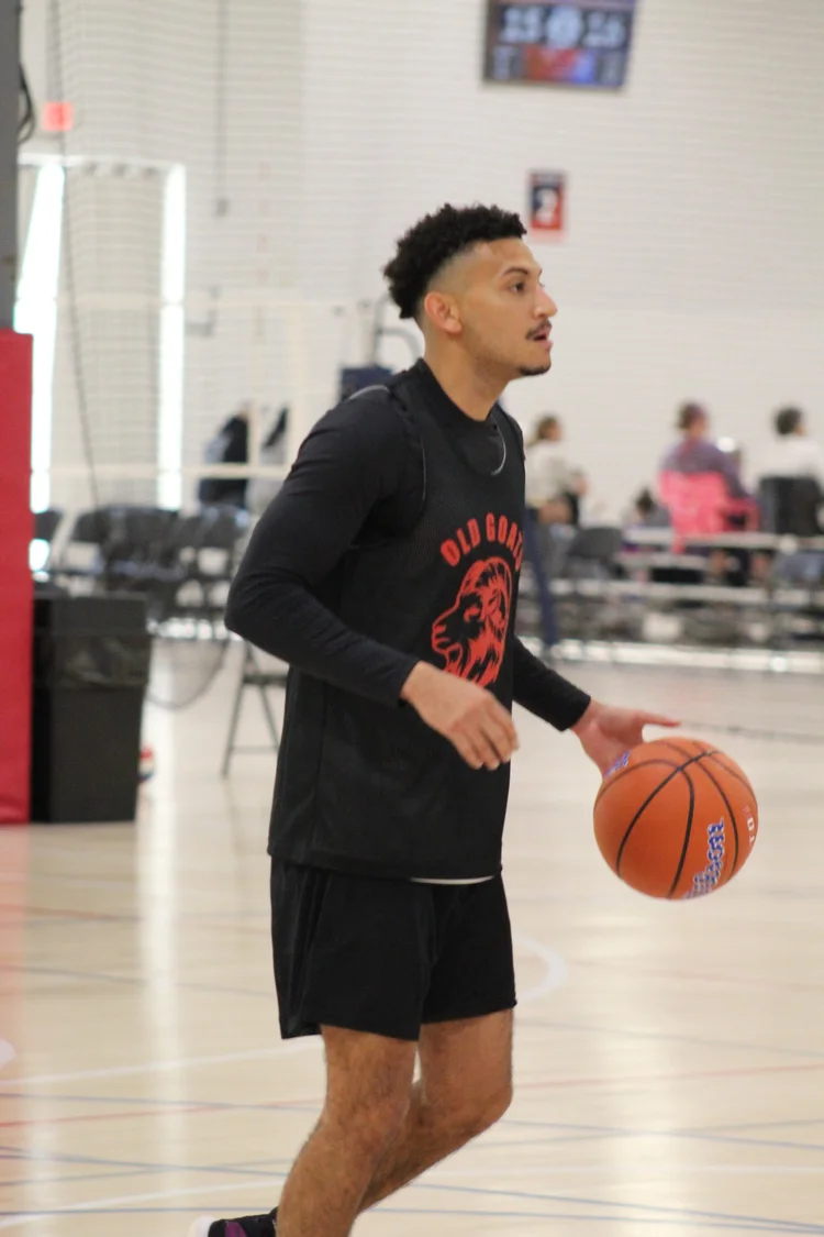 Adult Basketball — AmeriSports