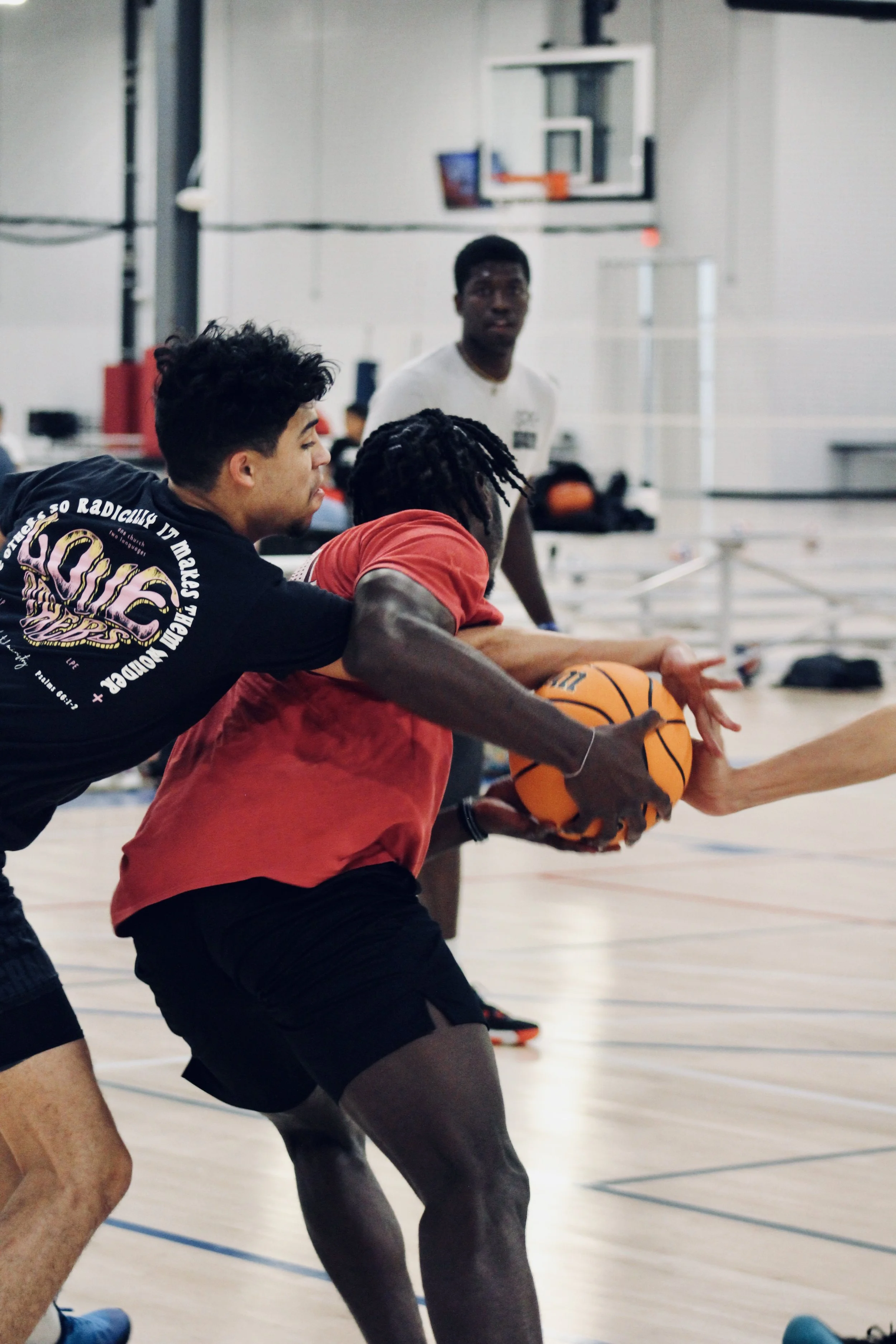 Adult Basketball — AmeriSports