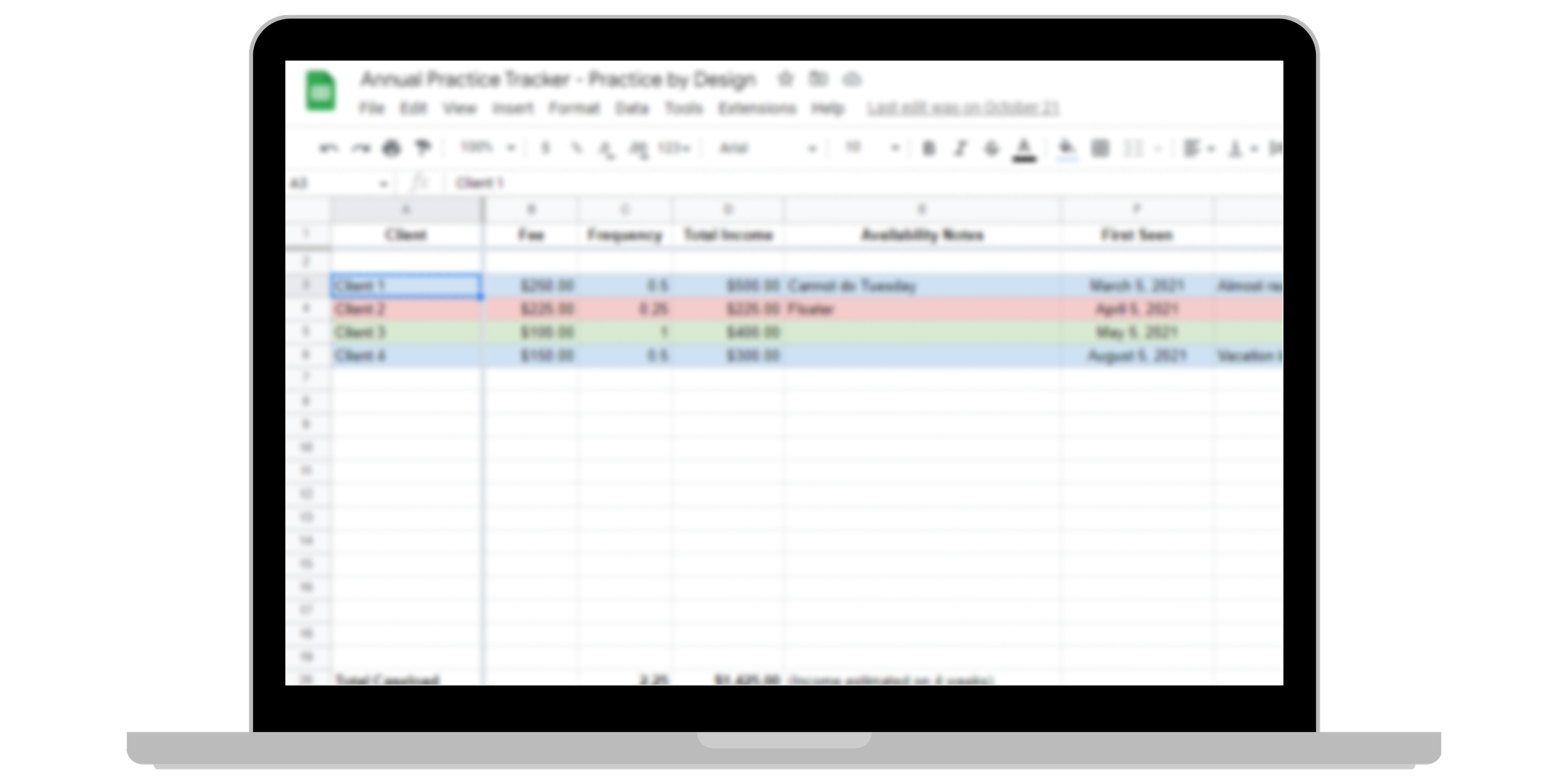 Annual Practice Tracker — Balanced Private Practice