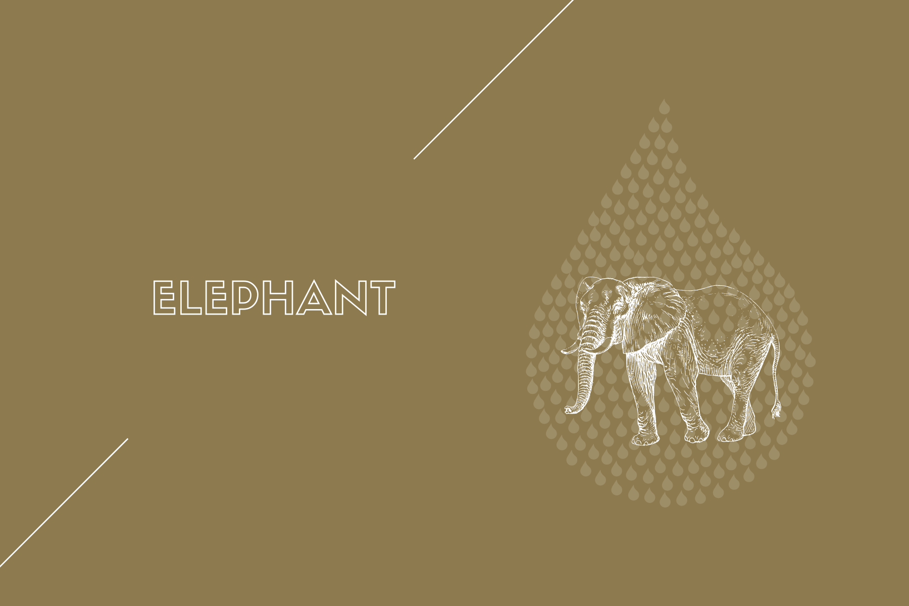 “Five Shooter” | Elephant - Middle Finger — Endangered Wildlife Poetry