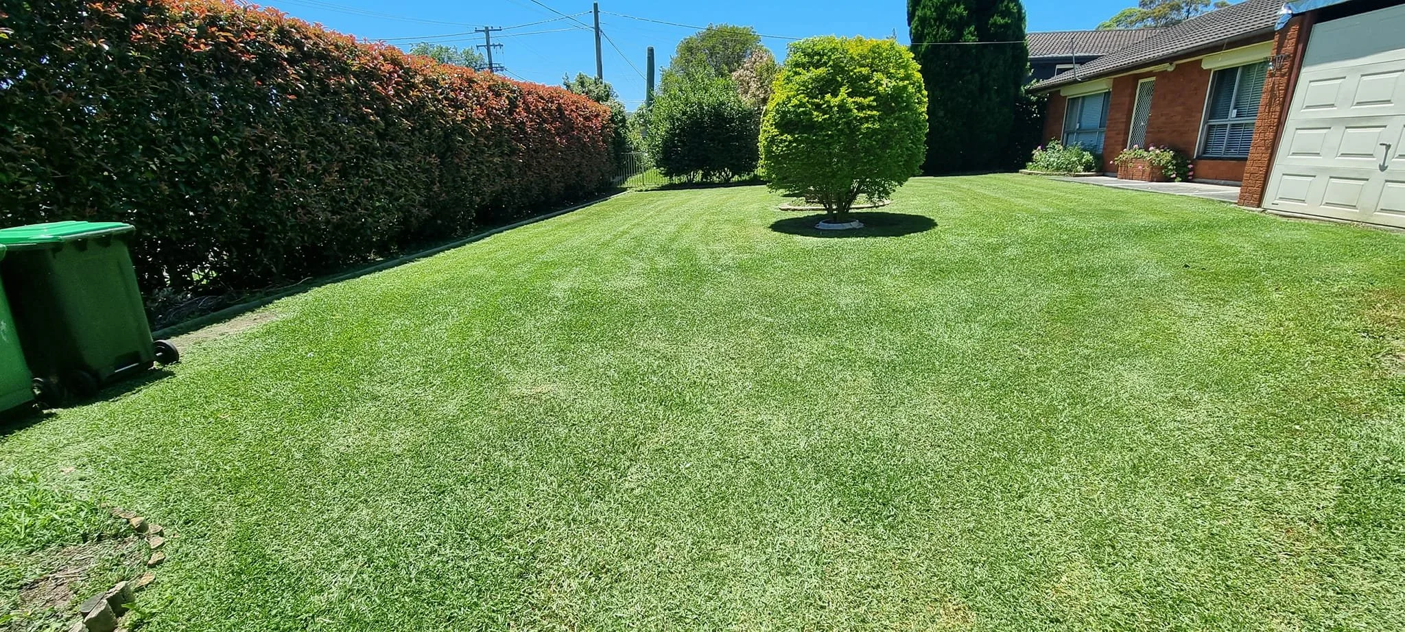 Gallery — Coastal Mow Down