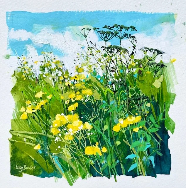 Poppy Morris Gallery