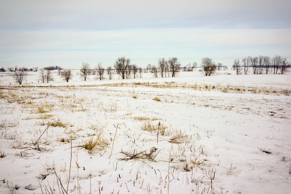 Laura Krouse — Iowa Learning Farms