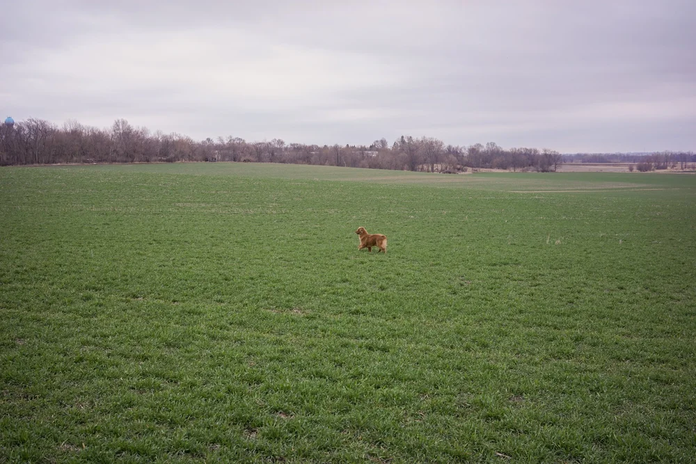 Wade Dooley — Iowa Learning Farms
