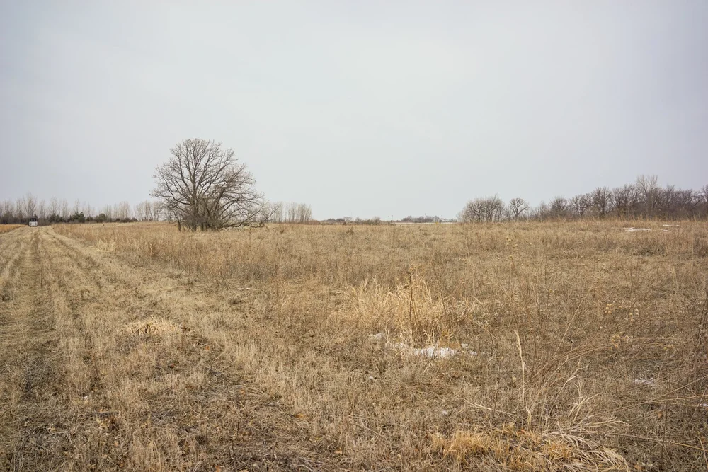 Ben and Andy Johnson — Iowa Learning Farms