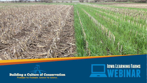 Cover Crops — Iowa Learning Farms