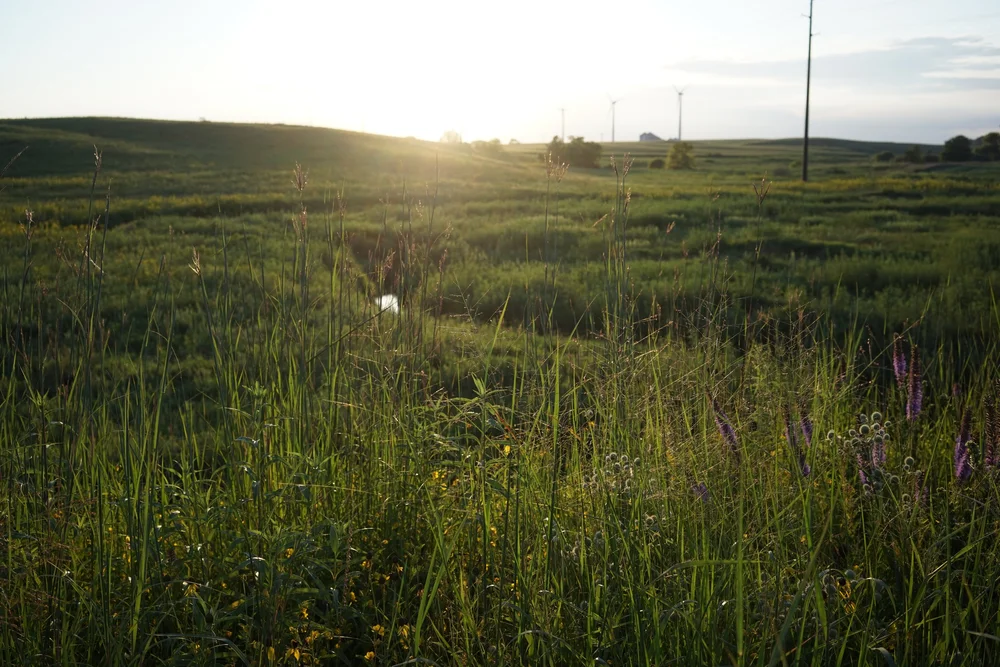 Carl Kurtz — Iowa Learning Farms